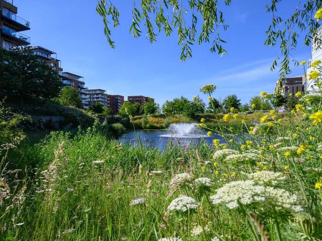 Berkeley - Kidbrooke Village - New home developments - Zoopla